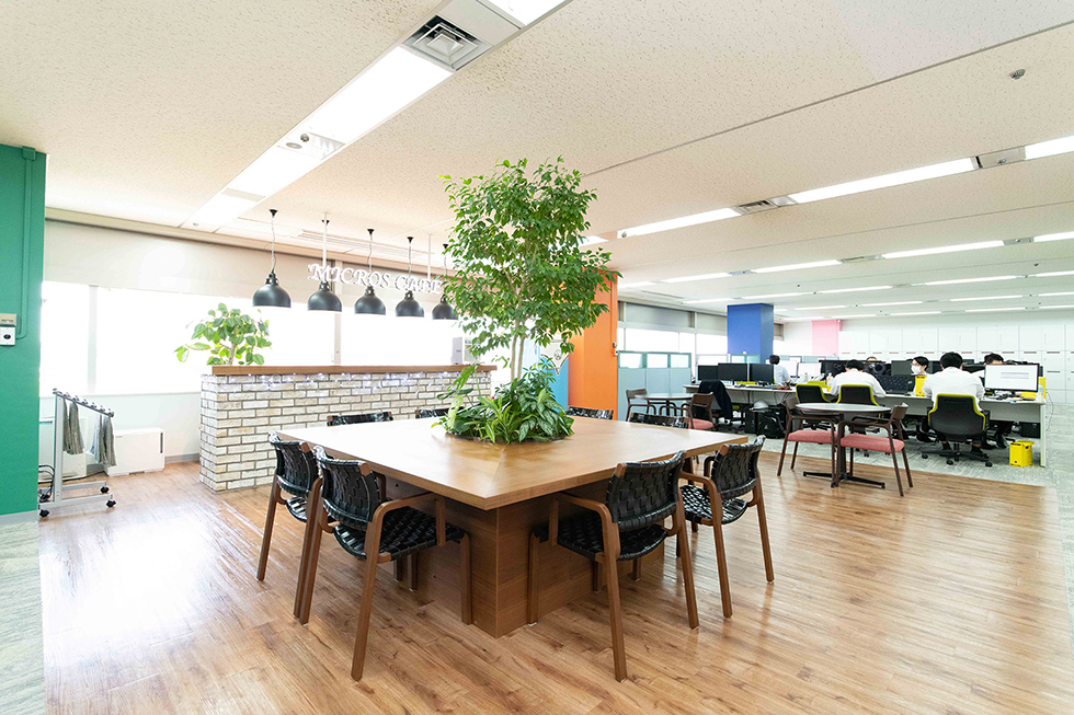 MICROS SOFTWARE | DTage